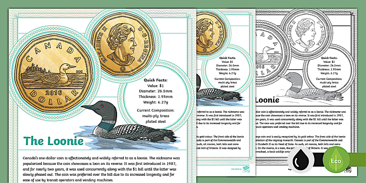 Canada’s Coins | Loonie Facts | Twinkl CA (teacher made)
