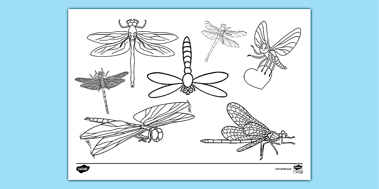 Dragonfly Doodle Colouring Page - Twinkl