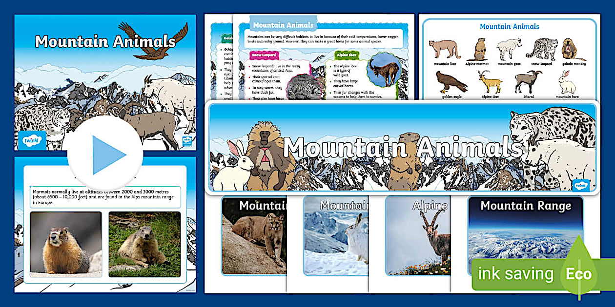 Mountain Animals Resource Pack
