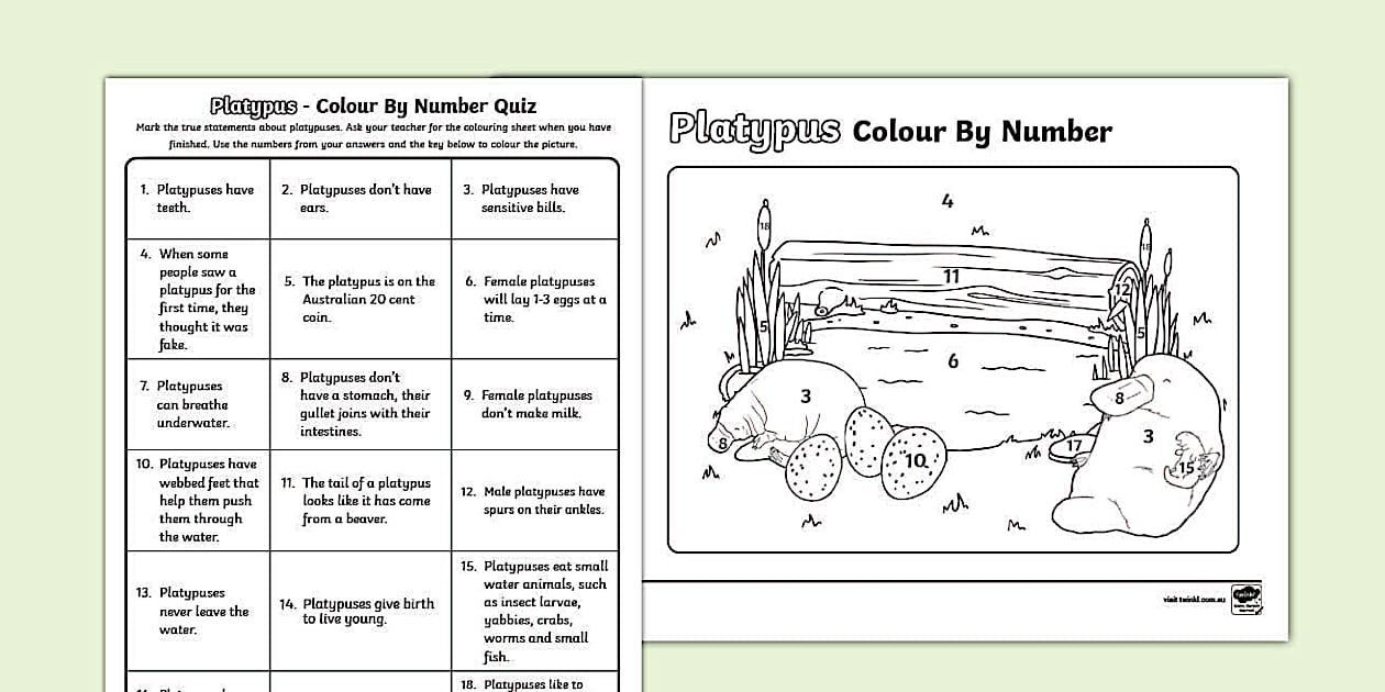 Platypus Colour By Number Quiz (teacher made) - Twinkl