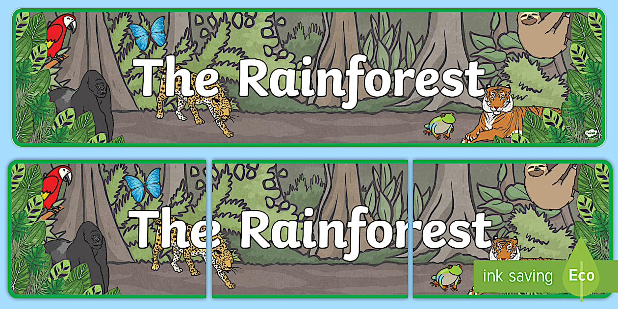 The Rainforest Display Banner (teacher made) - Twinkl