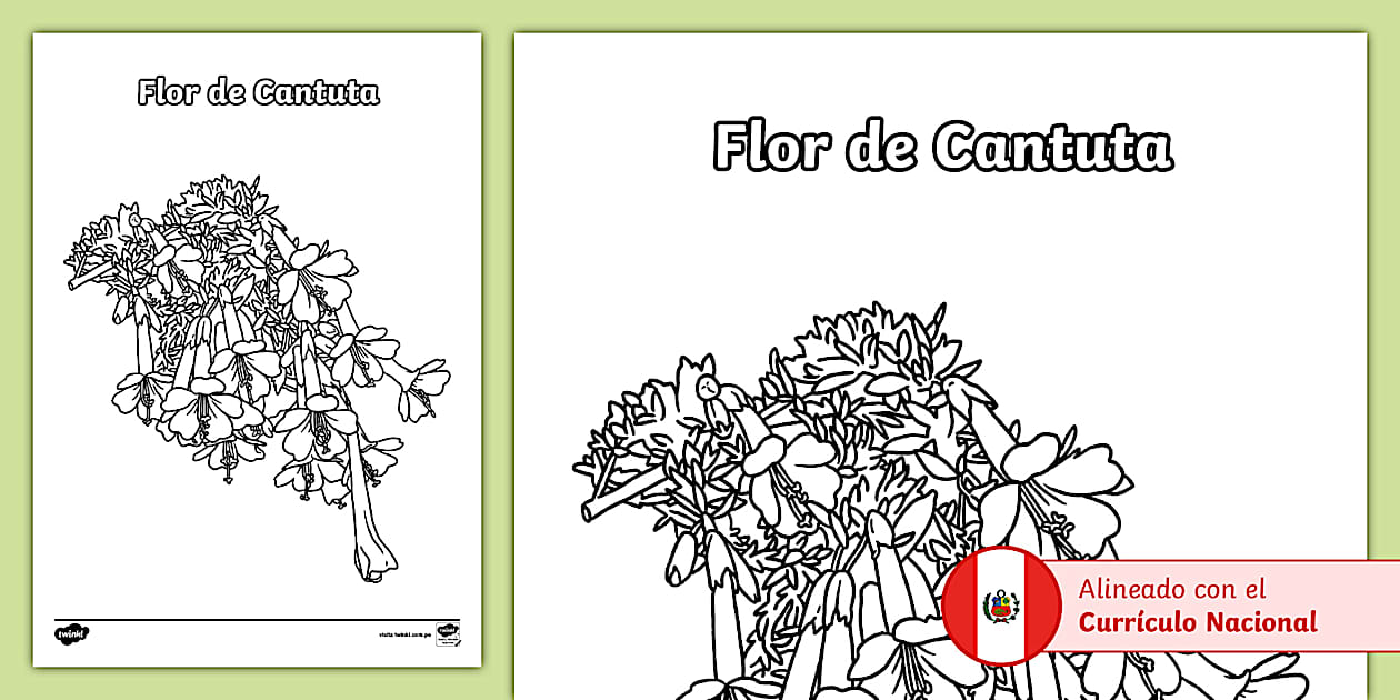 Hoja de colorear: Flor de Cantuta | Twinkl (Lehrer gemacht)