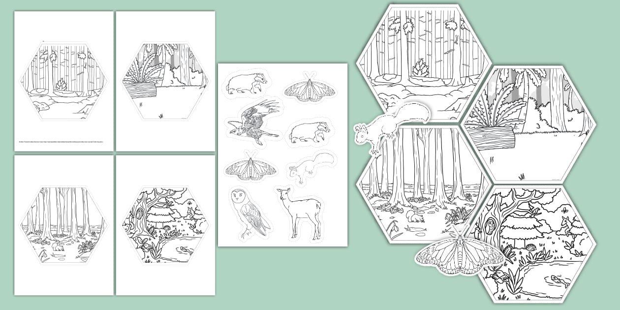 Woodland Animals Hexagon Display Colouring Activity - Twinkl