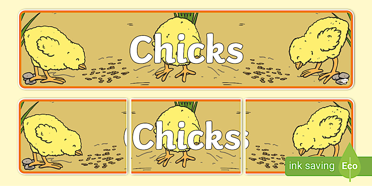 Chicks Banner (Teacher-Made) - Twinkl