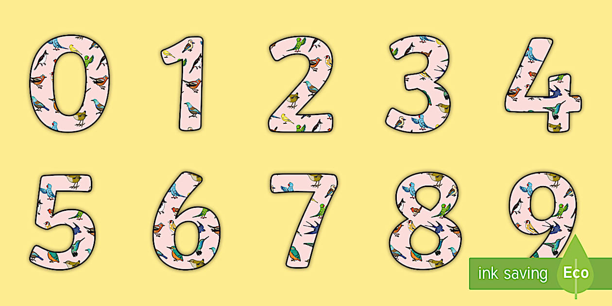 Colorful Birds Numbers (teacher made) - Twinkl