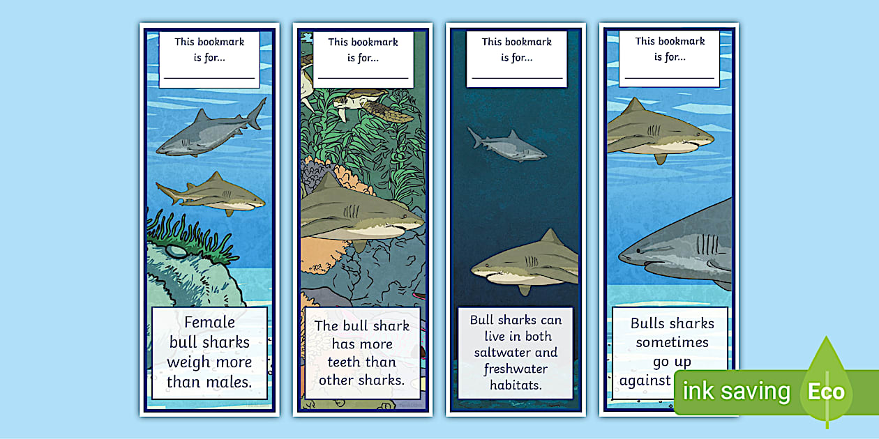 Bull Shark Bookmarks with Facts (teacher made) - Twinkl