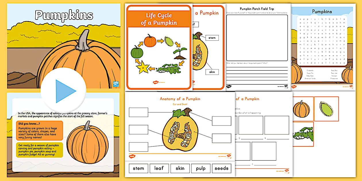 Editable Life Cycle of a Pumpkin Activity Pack for K-2nd Grade
