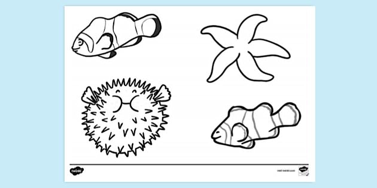 Detailed Fish Colouring | Colouring Sheets - Twinkl