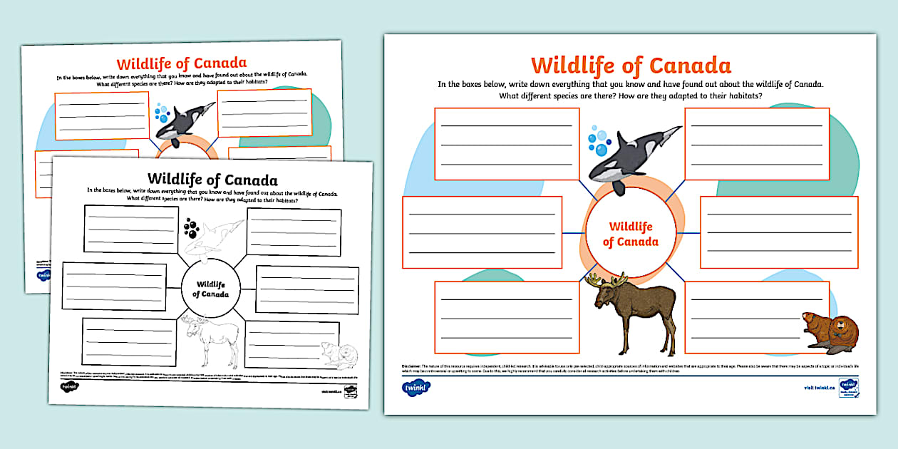 Wildlife of Animals of Canada Mind Map - Twinkl