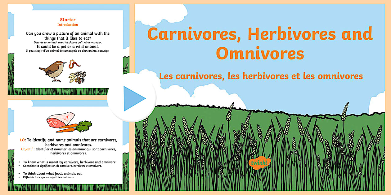 Identifying Herbivores, Carnivores and Omnivores PowerPoint English/French