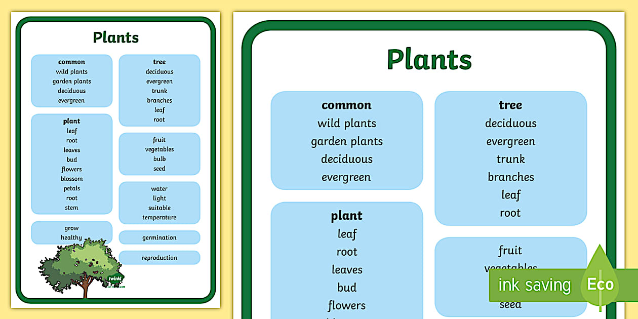 Editable Year 2 Plants Scientific Vocabulary Poster - Twinkl