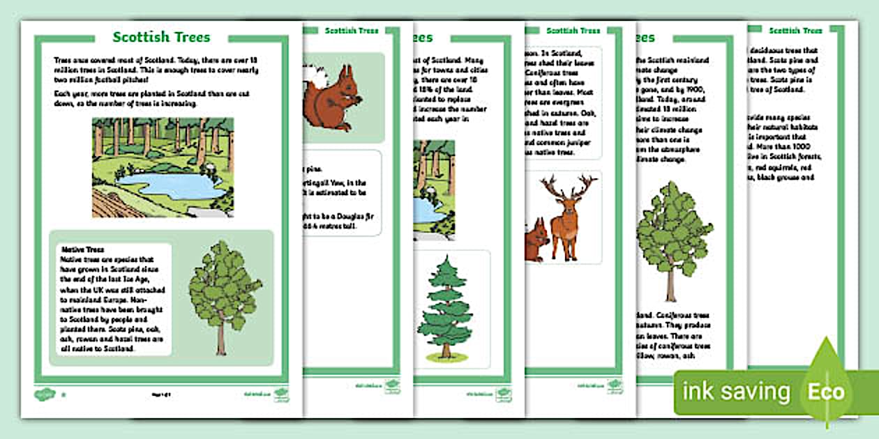 All About Scottish Trees Fact File (professor feito)