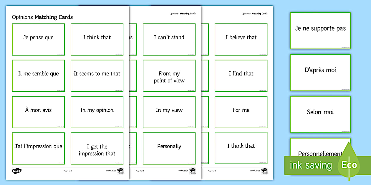Opinion Phrases Matching Cards French (teacher made)