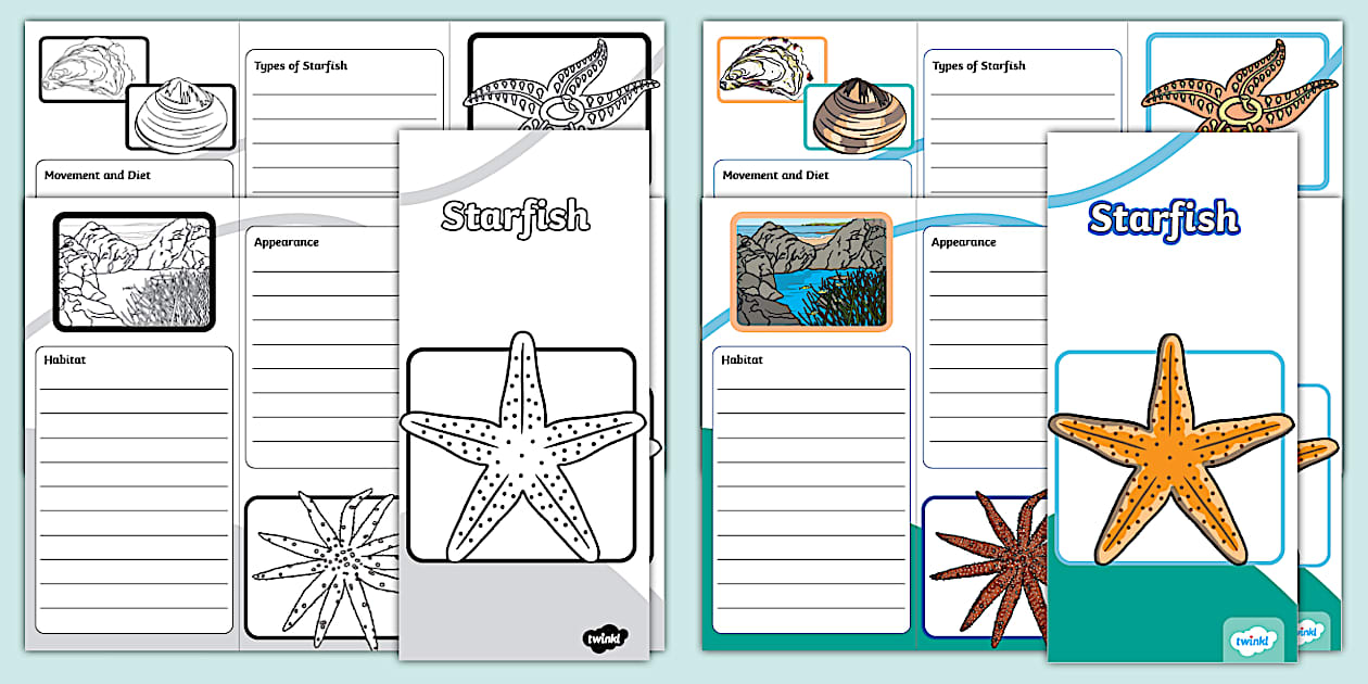 Starfish Leaflet Template (Teacher-Made) - Twinkl