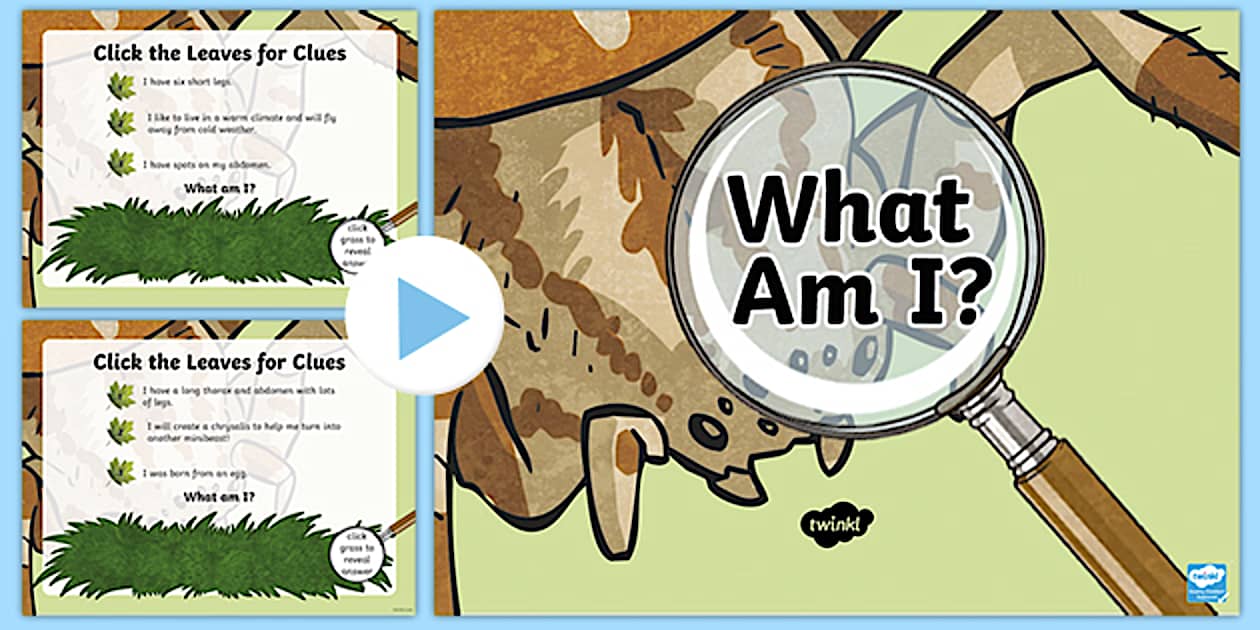 Minibeasts 'What Am I?' Interactive PowerPoint - Twinkl