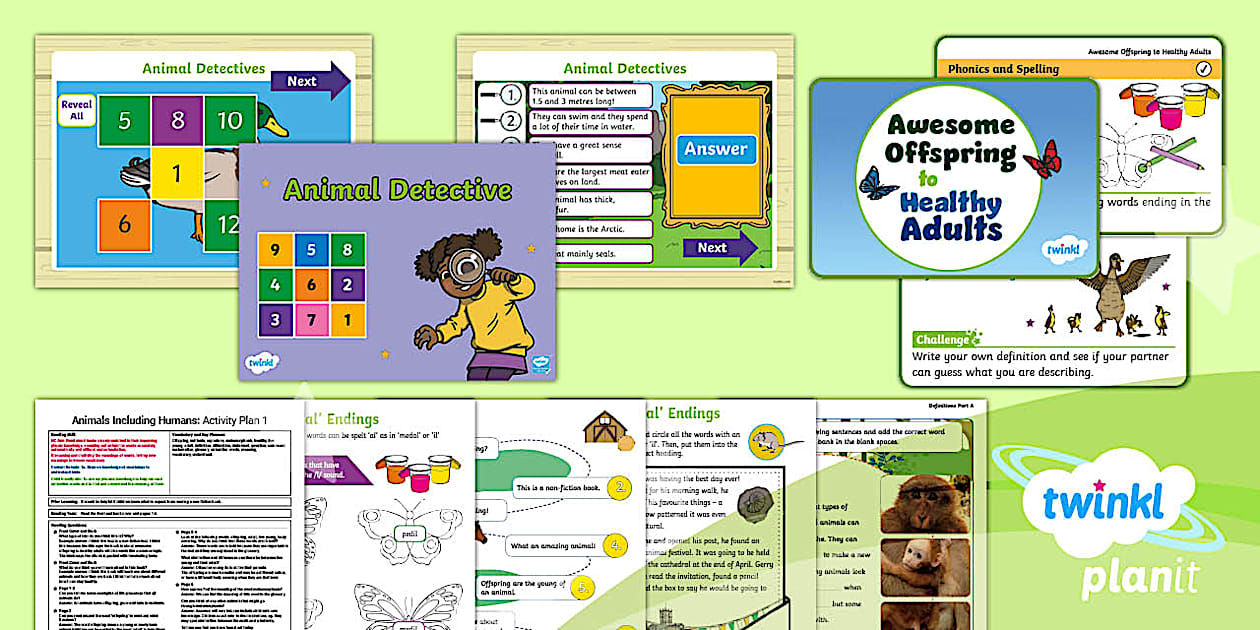 Animals And Their Offspring | Guided Reading Pack | Year 2