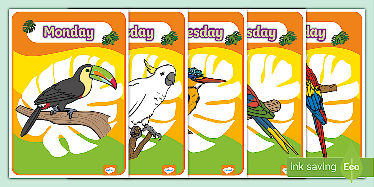 Days of the Week (Tropical Birds Display Poster) - Twinkl