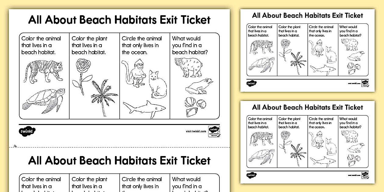 Kindergarten All About Beach Habitats Exit Ticket - Twinkl