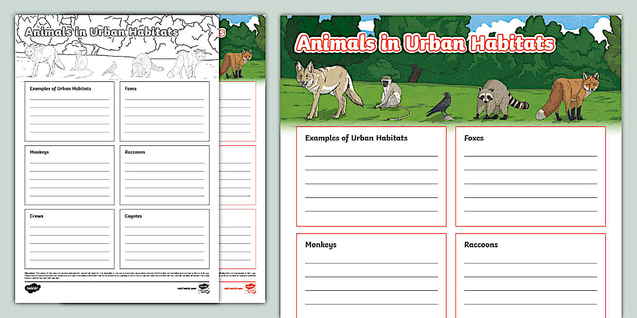 Animals in Urban Habitats Fact File Template
