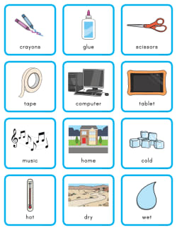 Nonverbal Communication Cards | PECS cards (teacher made)