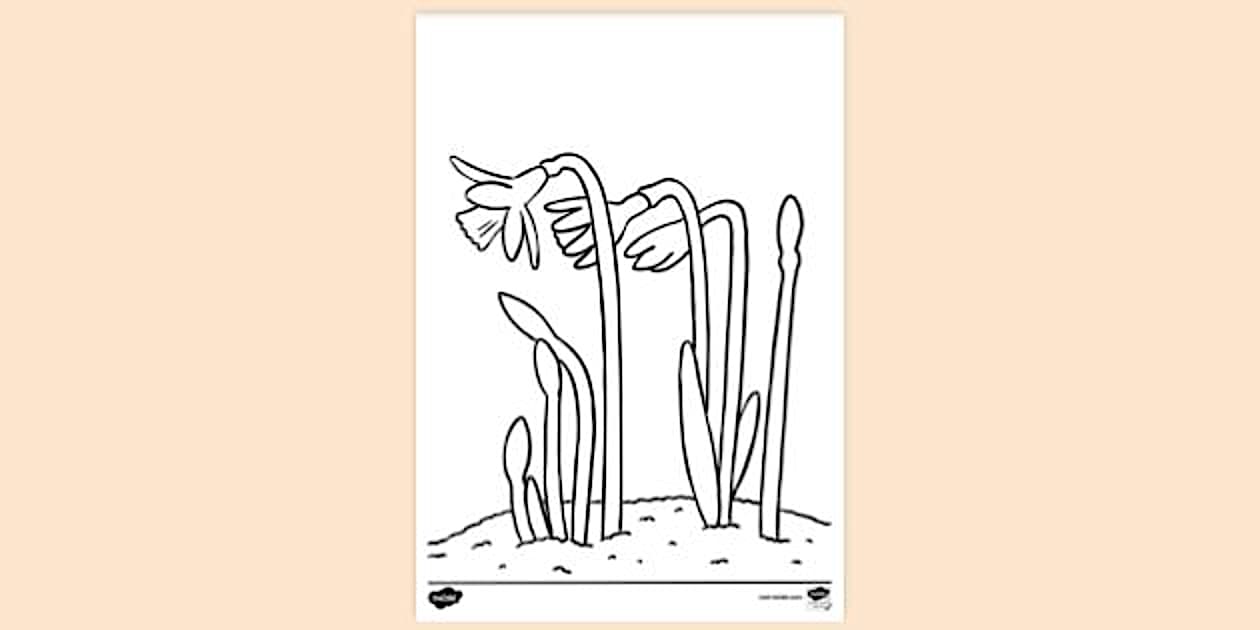 Colouring Book Page Spring | Colouring Sheets - Twinkl