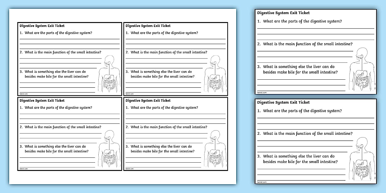 Seventh Grade Digestive System Exit Ticket - Twinkl