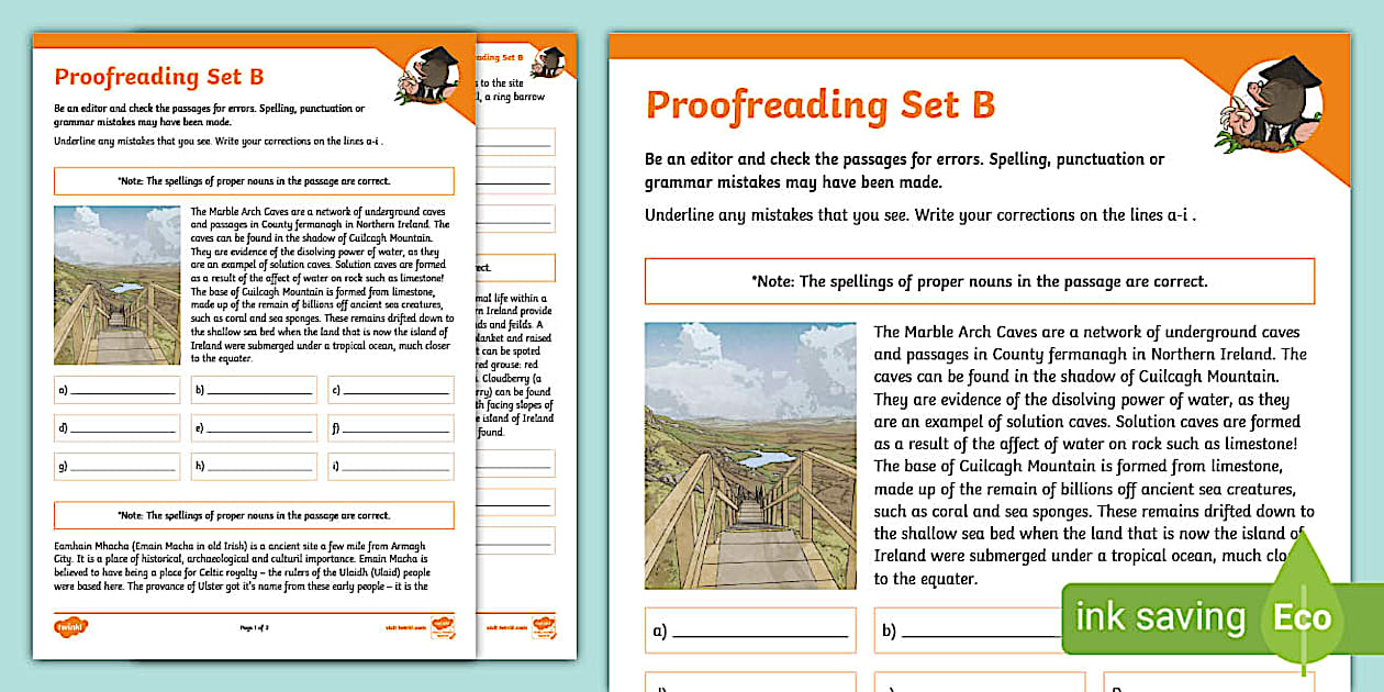 Proofreading Set B Activity Sheets (teacher made) - Twinkl