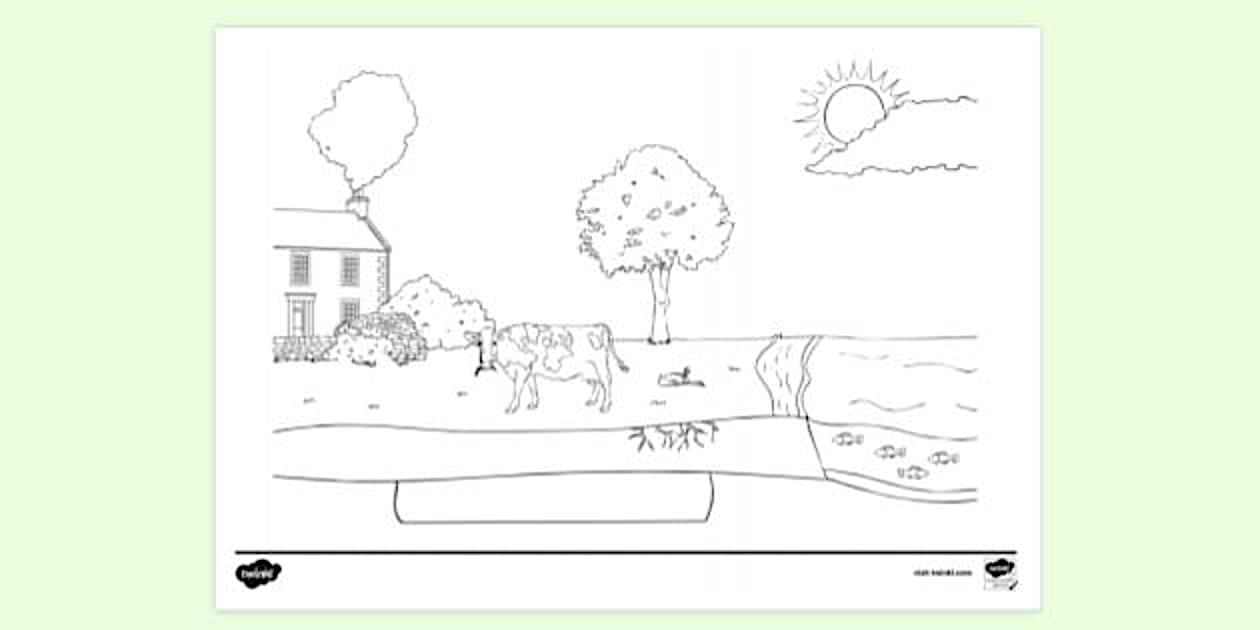 Detailed Carbon Cycle Colouring Sheet | Colouring Sheets