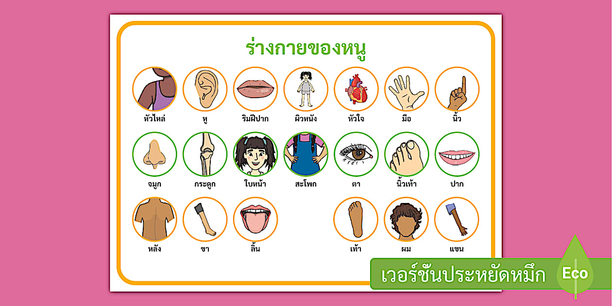 สื่อการสอนร่างกายของฉัน คำศัพท์พร้อมภาพเกี่ยวกับร่างกาย