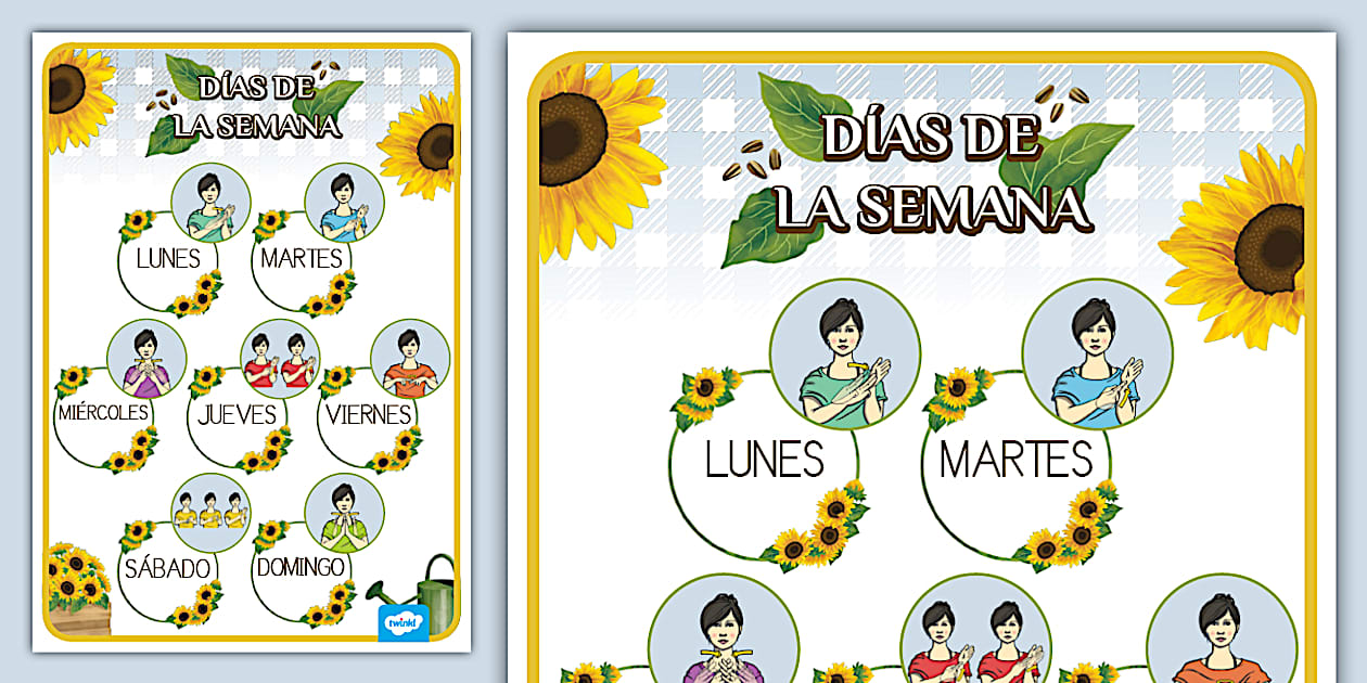 Carteles para asamblea con lengua de signos: Días de la semana - Girasoles
