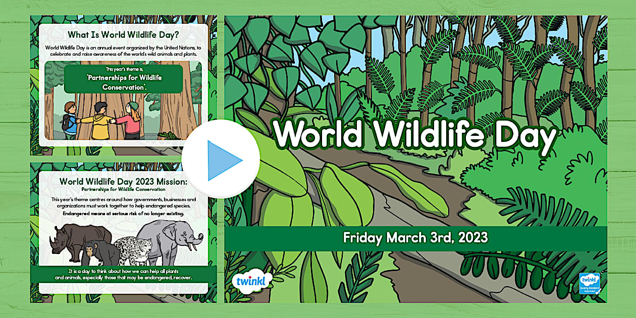 World Wildlife Day Primary PowerPoint (teacher made)