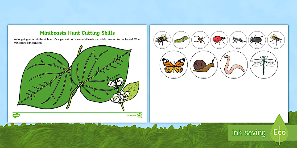 Minibeast Hunt Cutting Skills Activity (teacher made)