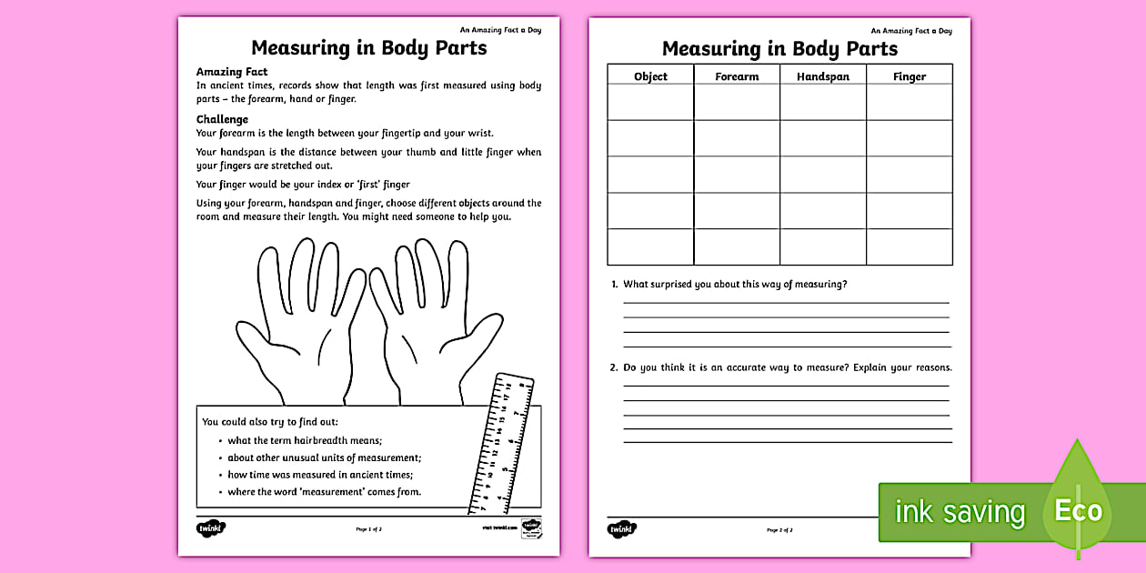 Editable Measuring in Body Parts Worksheet (teacher made)