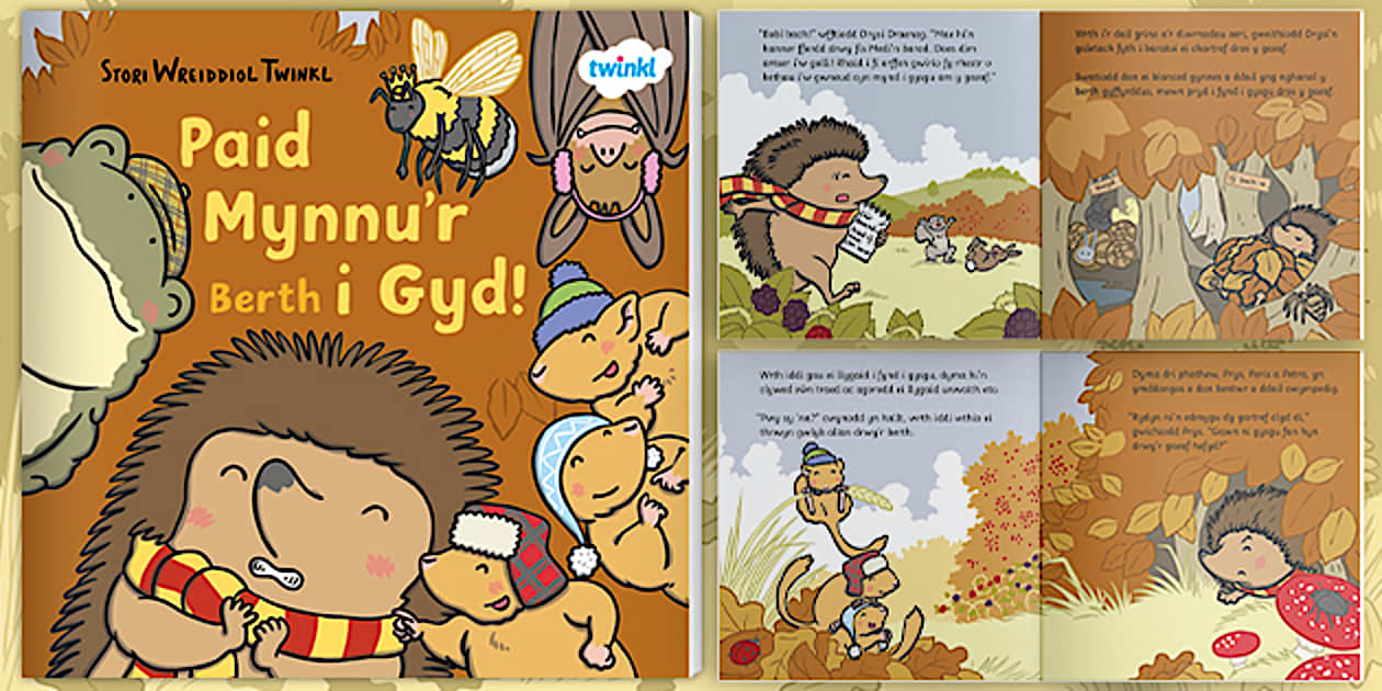 eLyfr Paid Mynnu'r Berth i Gyd! (teacher made) - Twinkl