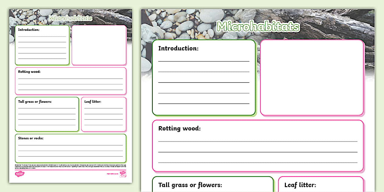 Microhabitats Non-Chronological Report Template - Twinkl