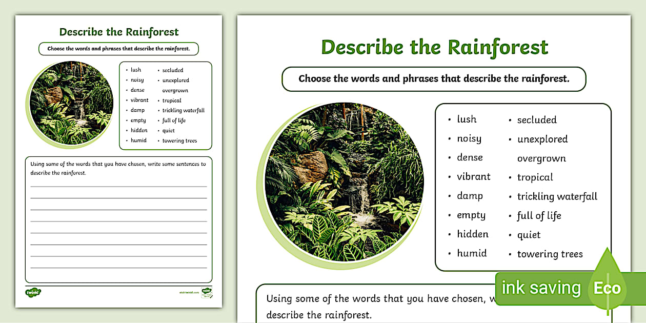 Describe the Rainforest Writing Activity (teacher made)