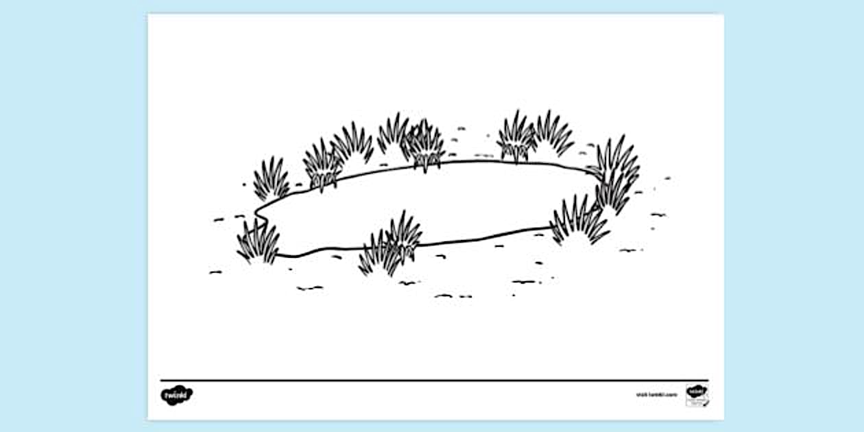 Puddle Surrounded by Grass Colouring Sheets | Colouring Page