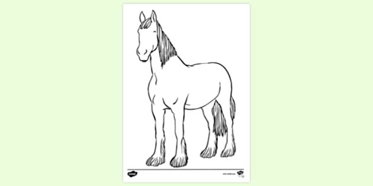 Shire Horse Colouring Sheet (teacher made) - Twinkl