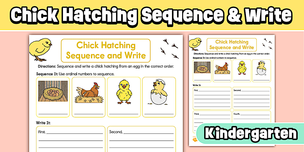 Kindergarten Chick Hatching Sequence and Write Worksheet
