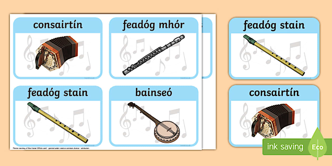 Traditional Irish Musical Instruments Display Posters Gaeilge