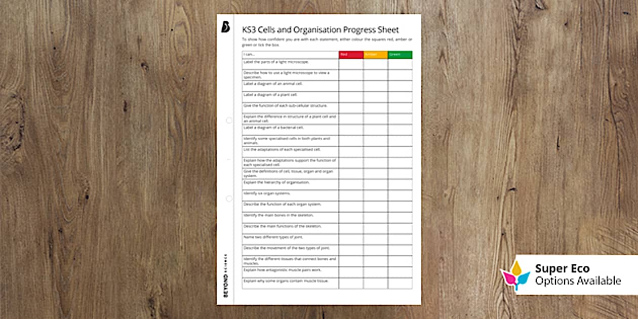 KS3 Cells and Organisation Progress Sheet (teacher made)