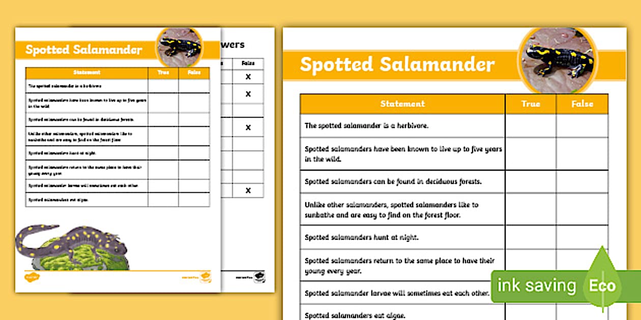 Spotted Salamander True or False Activity - Grades 4-6