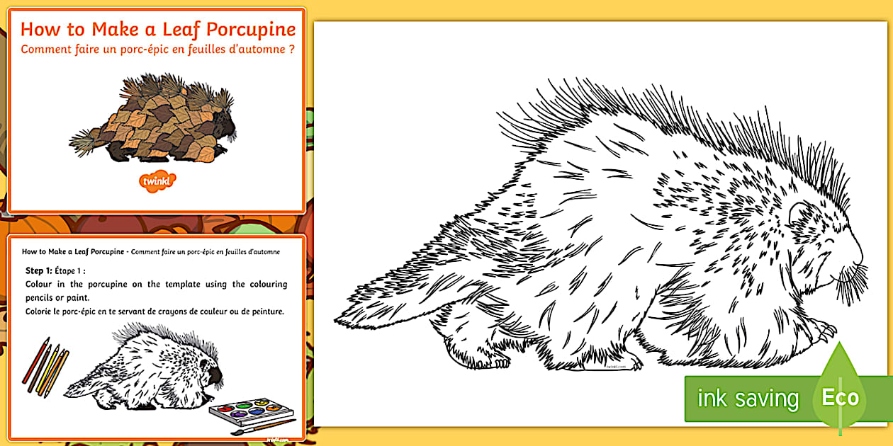 Leaf Porcupine Craft Instructions English/French - Twinkl