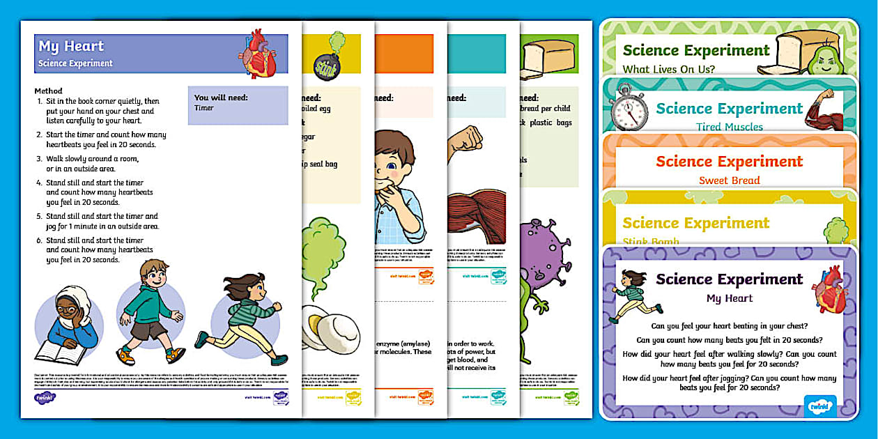 EYFS My Body Science Experiments Resource Pack - Twinkl