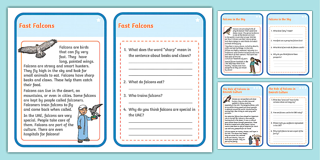 Falcons KS1 Reading Comprehension Cards (teacher made)