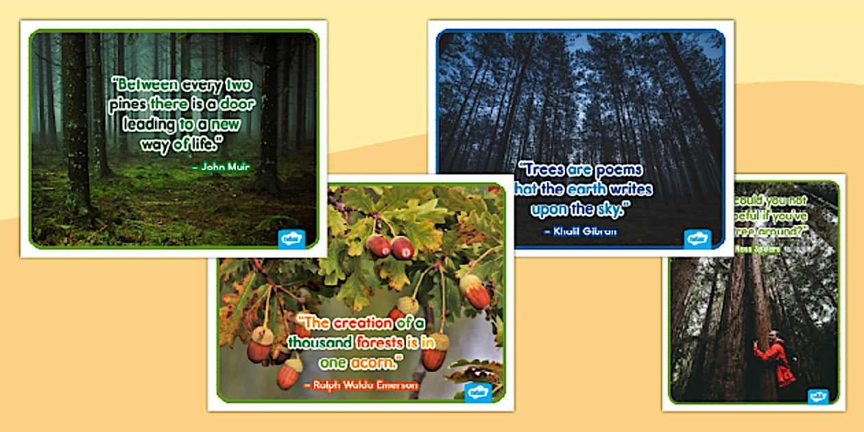 Earth Day Trees Posters | Science Resource | Twinkl USA