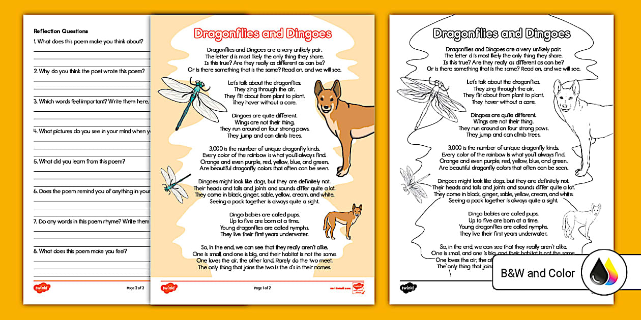 Second Grade Poetry Analysis: Dragonflies and Dingoes