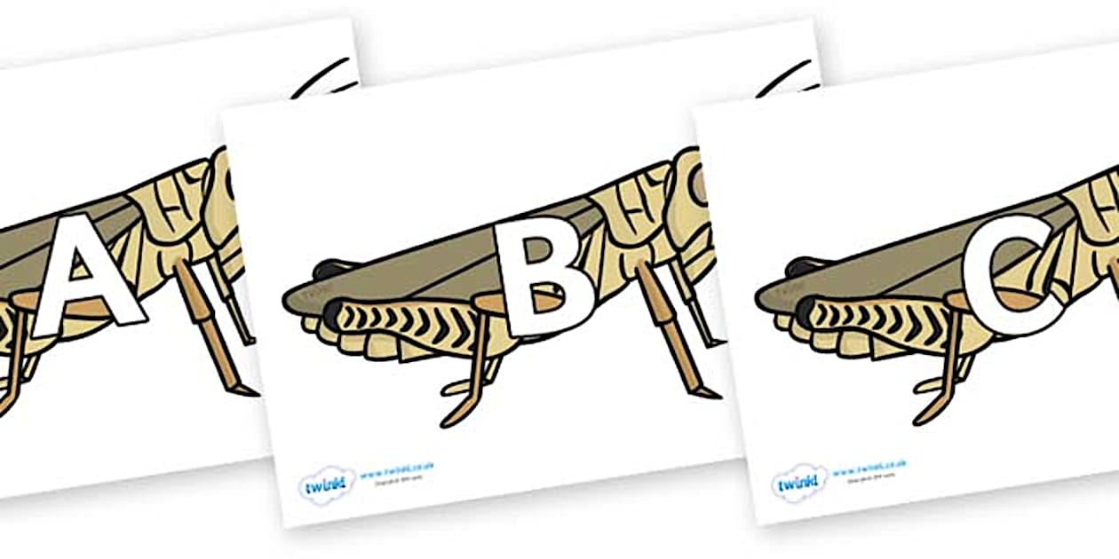A-Z Alphabet on Grasshoppers (professor feito) - Twinkl