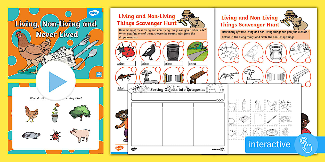 Sorting Living Things and Nonliving Things KS1 Science Pack
