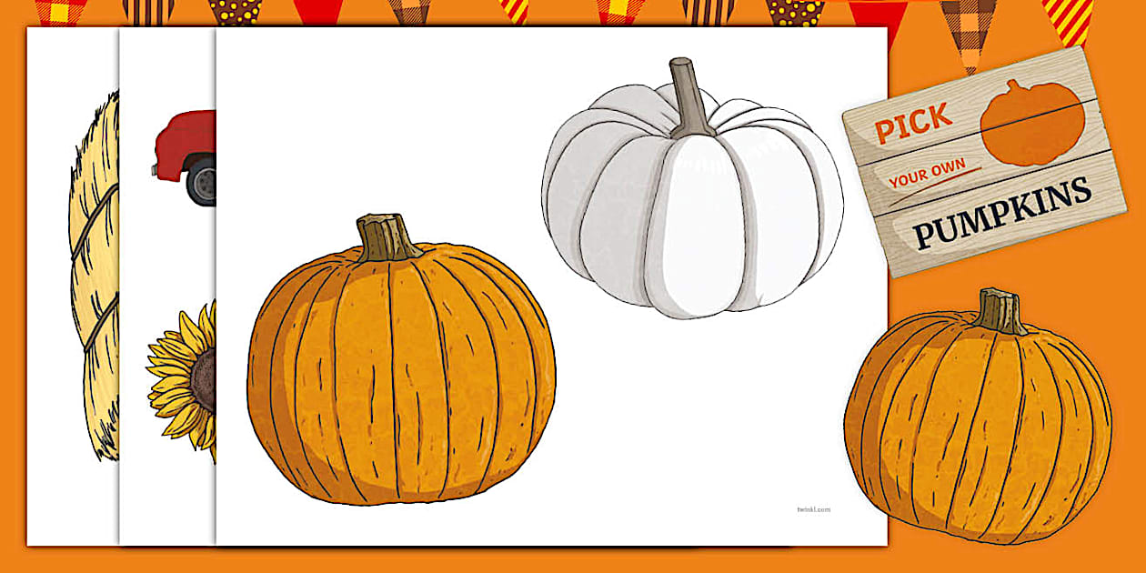 Colorful Fall Cutouts for 6th-8th Grade | Twinkl USA